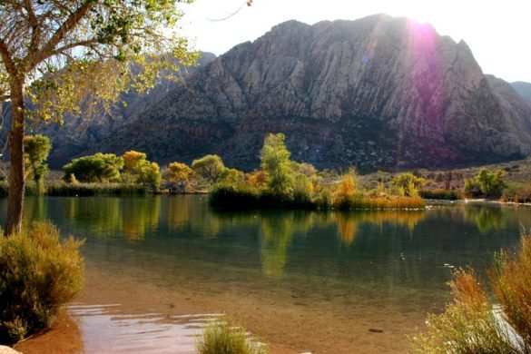 Top 10 Most Beautiful And Amazing Desert Oasis In The World | World's ...