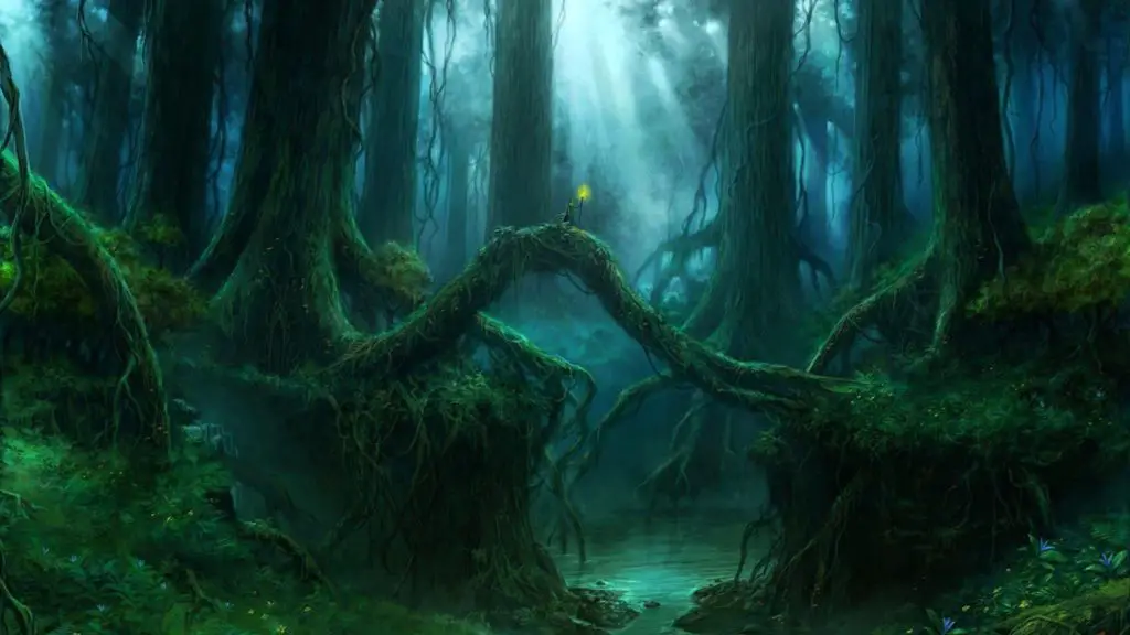 Top 10 Most Beautiful Forests In The World | World's Top Insider
