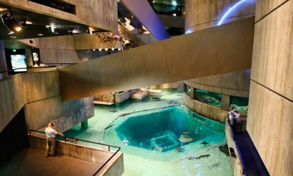 Top 15 Best Aquariums In The World | World's Top Insider