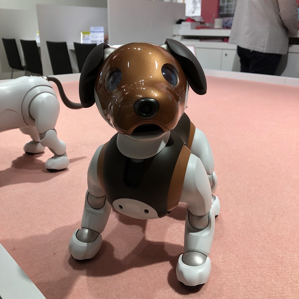 Top 25 Best And Smartest Robots In The World [year] | WTI