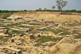 Top 10 Largest & Biggest Fraternities in the US