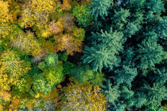 Top 10 Most Influential Inventions of the 20th Century | World's Top ...